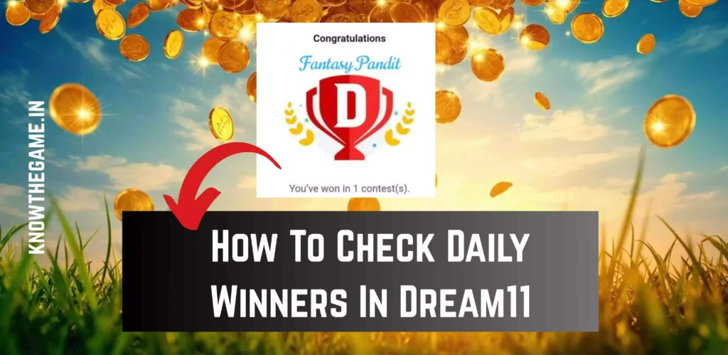 How To Check Daily Winners In Dream11 - Knowthegame